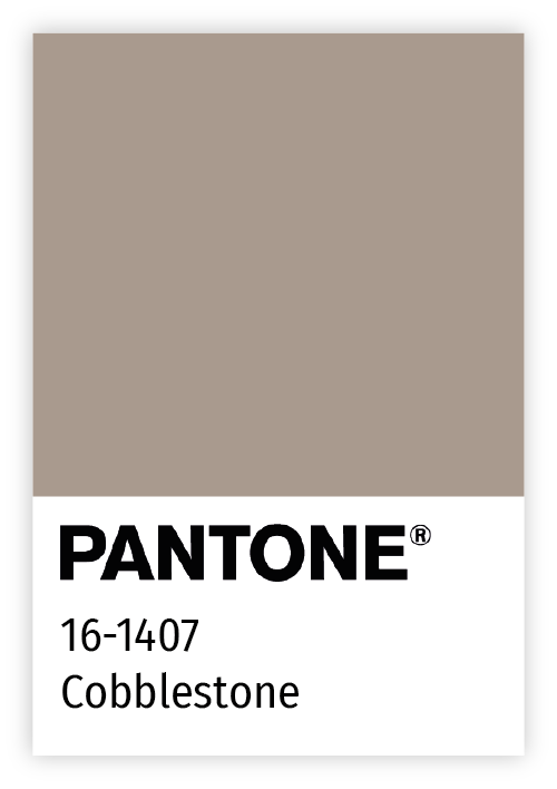 Mocha Mousse: Pantone Color of the Year 2025 – Renner Wood Coatings